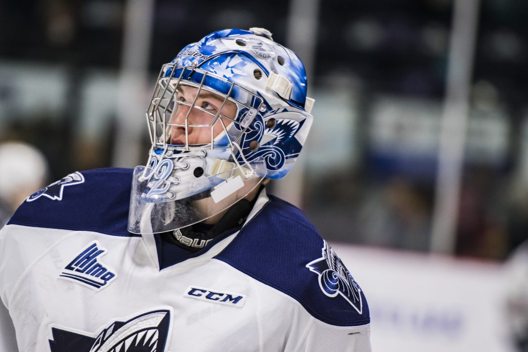 Une victoire pour Ellis à son retour au jeu | Journal Le Soir