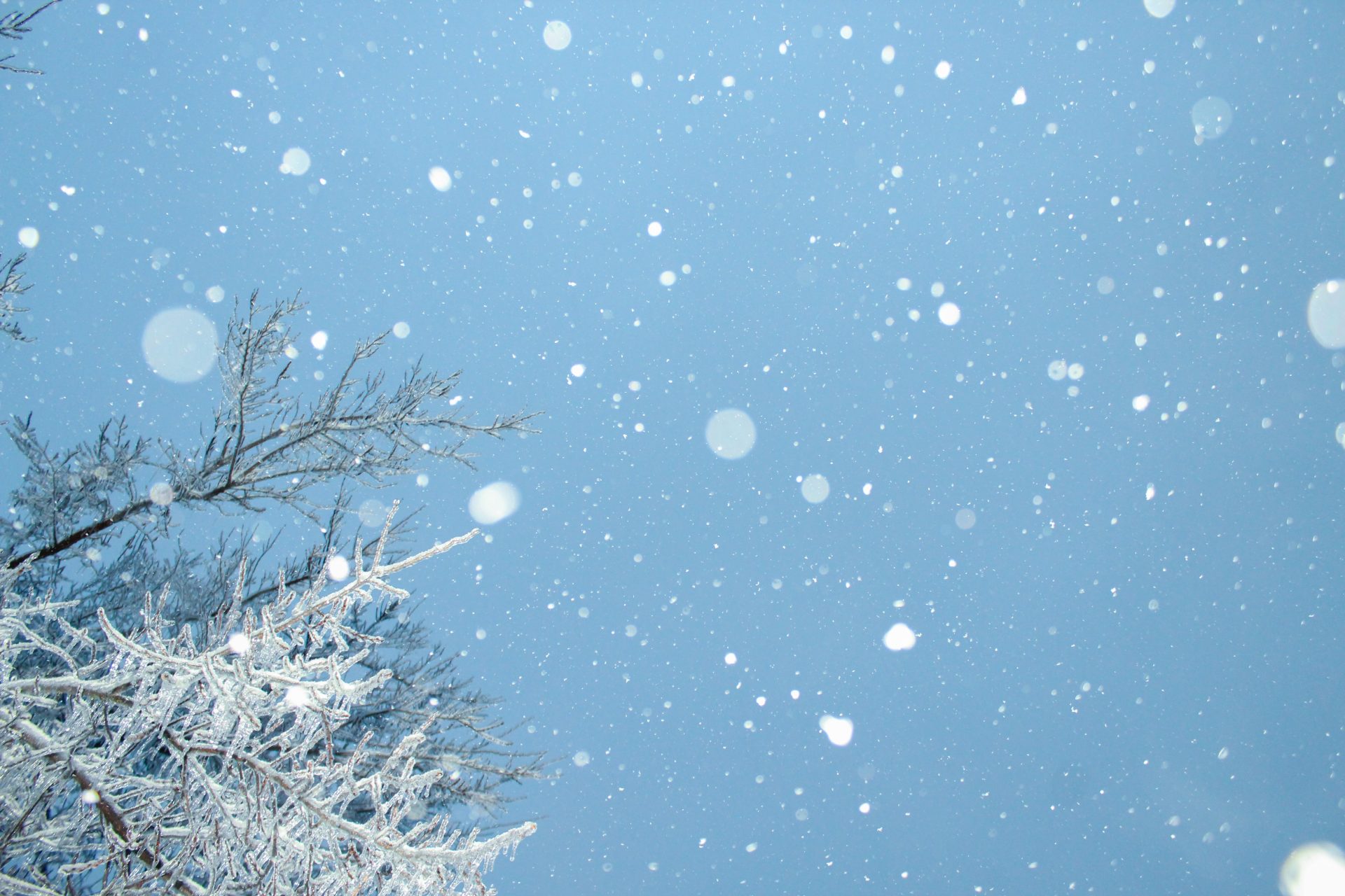 Importantes chutes de neige attendues à compter de demain | Journal Le Soir