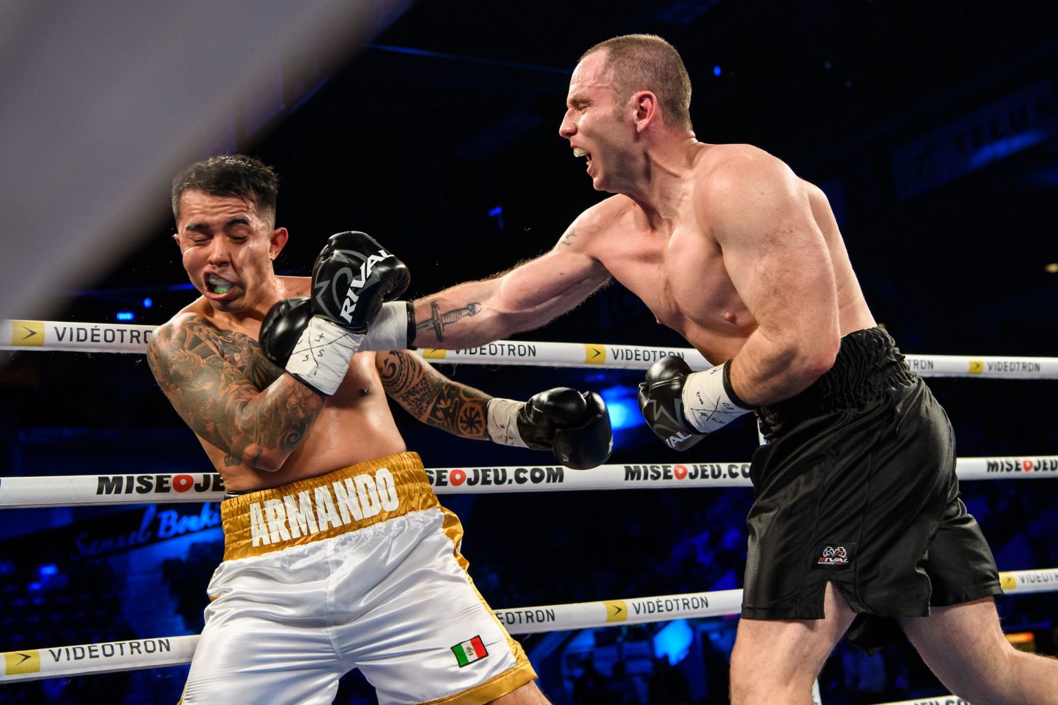 Gala de boxe : le grizzly a le meilleur sur la montagne | Journal Le Soir