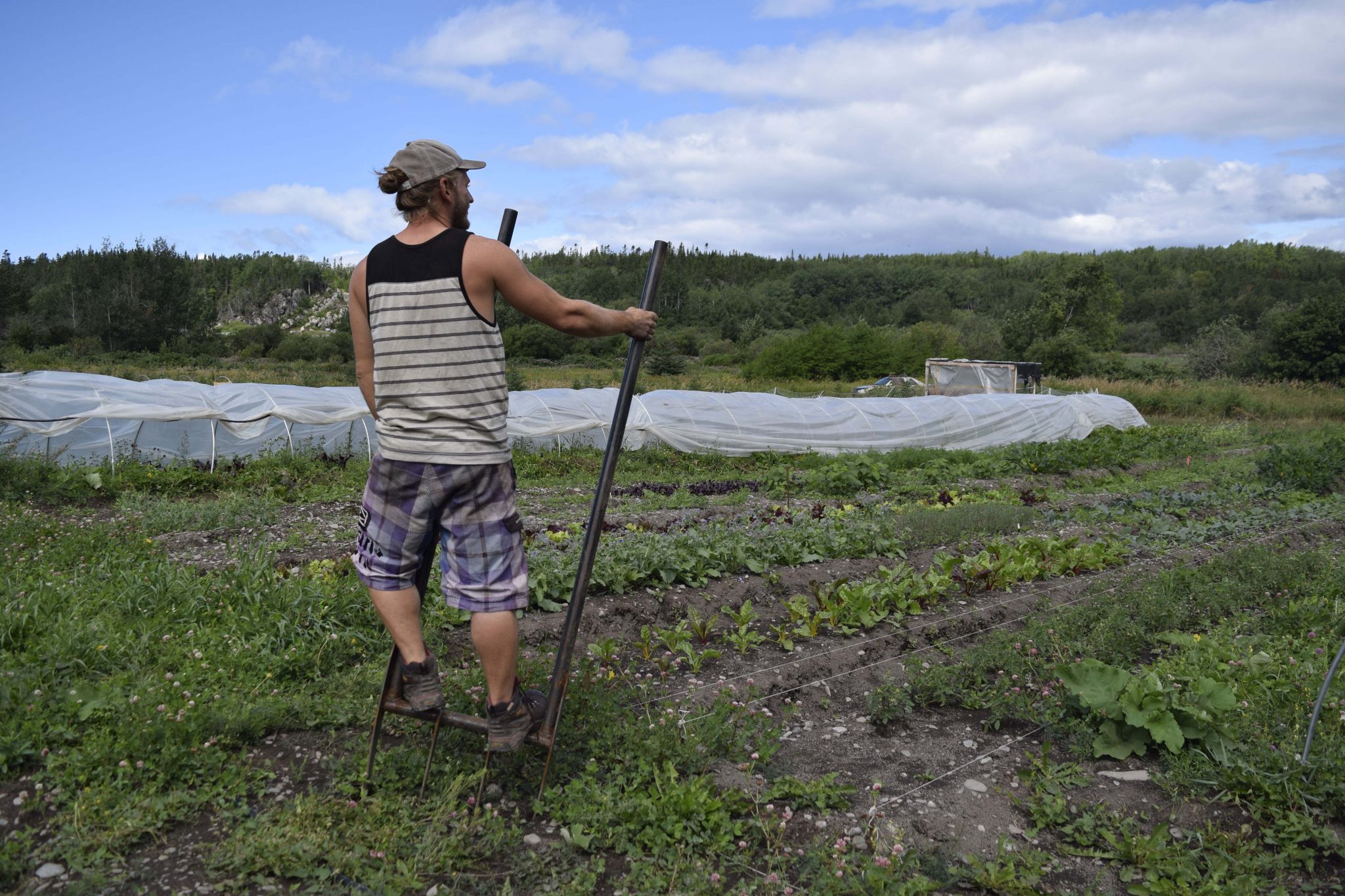 La Ferme du Castor Gras veut aménager un camping | Journal Le Soir