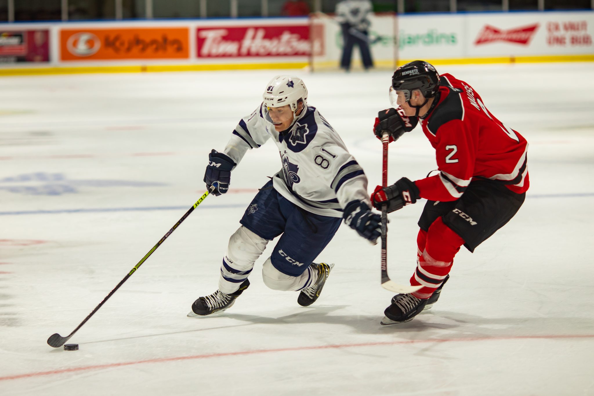 Un bel honneur pour Jacob Mathieu | Journal Le Soir