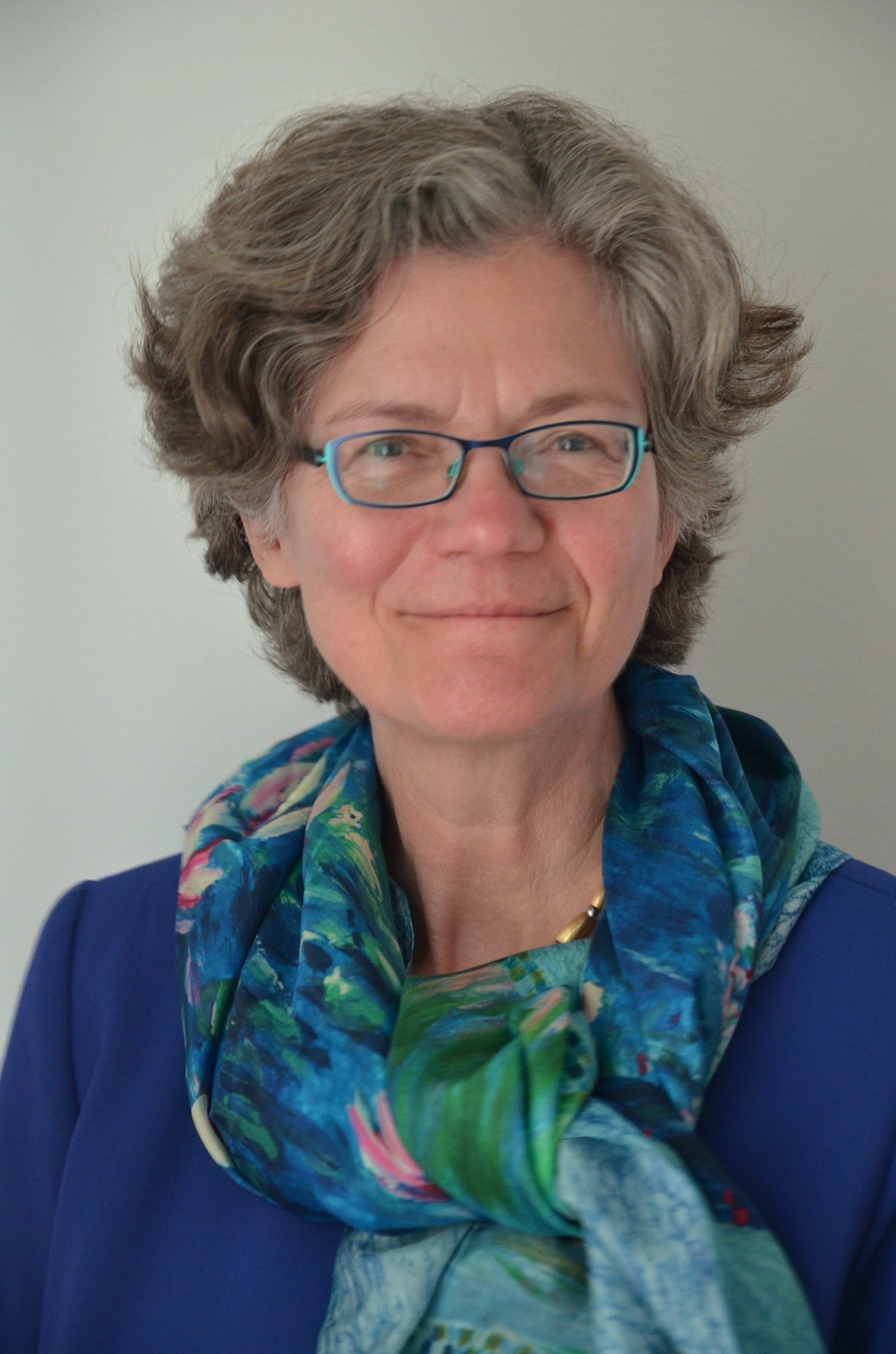 Interrogations sur les effets juridiques de la Charte des droits de l ...