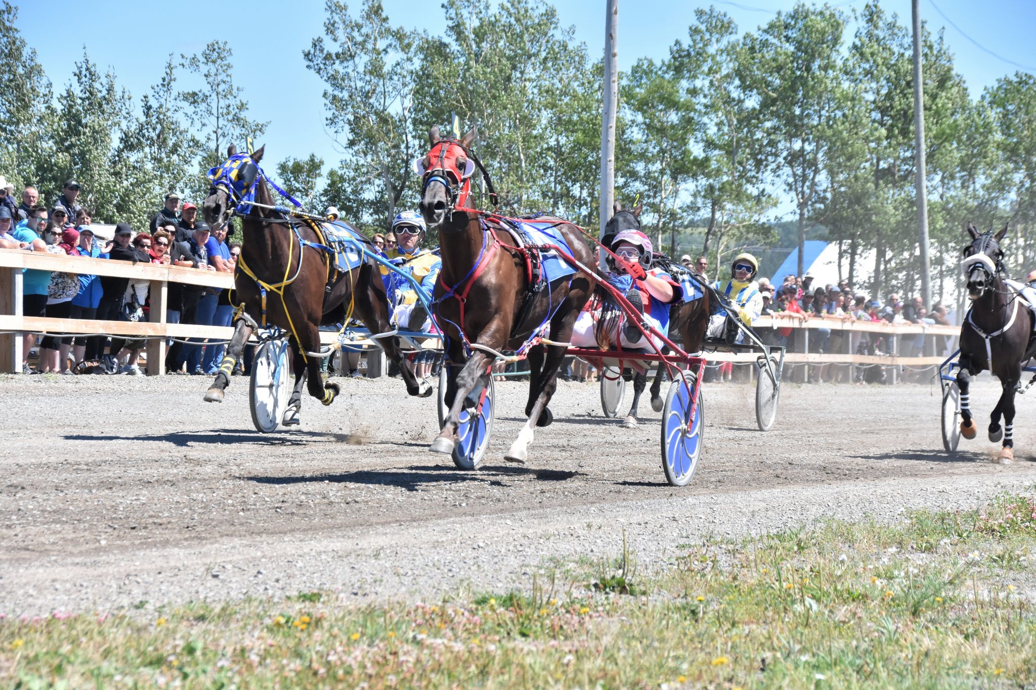 L’Écurie des 4G accueille un programme de courses de chevaux ...