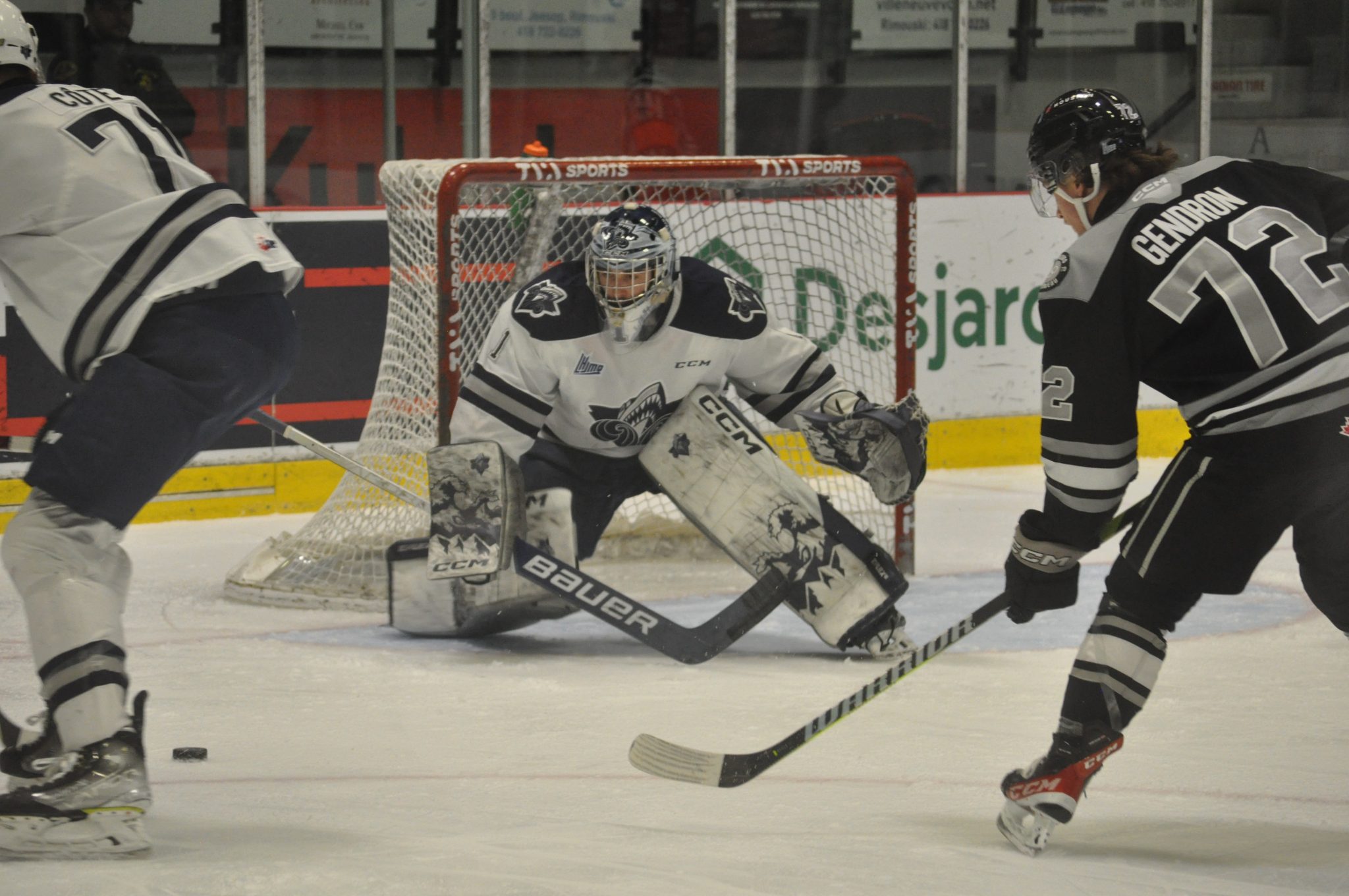 Les Olympiques affichent leurs couleurs | Journal Le Soir
