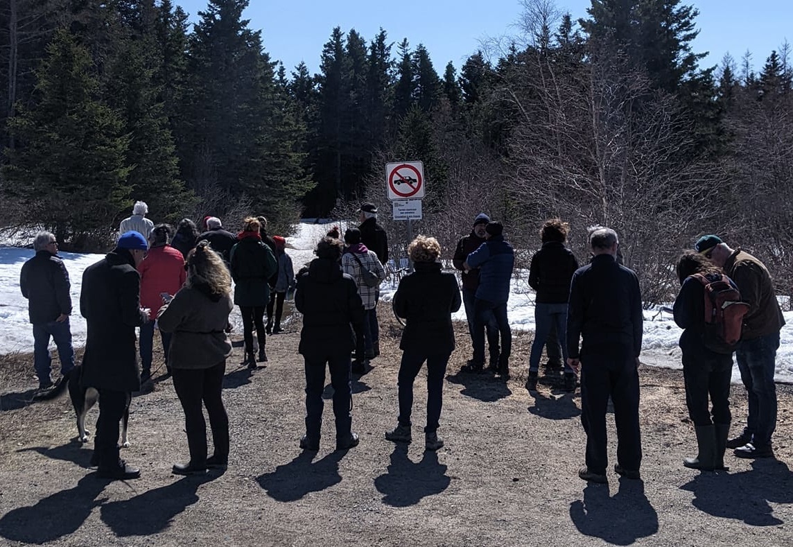 Une partie de la « forêt magique » de Pointe-au-Père protégée | Journal ...