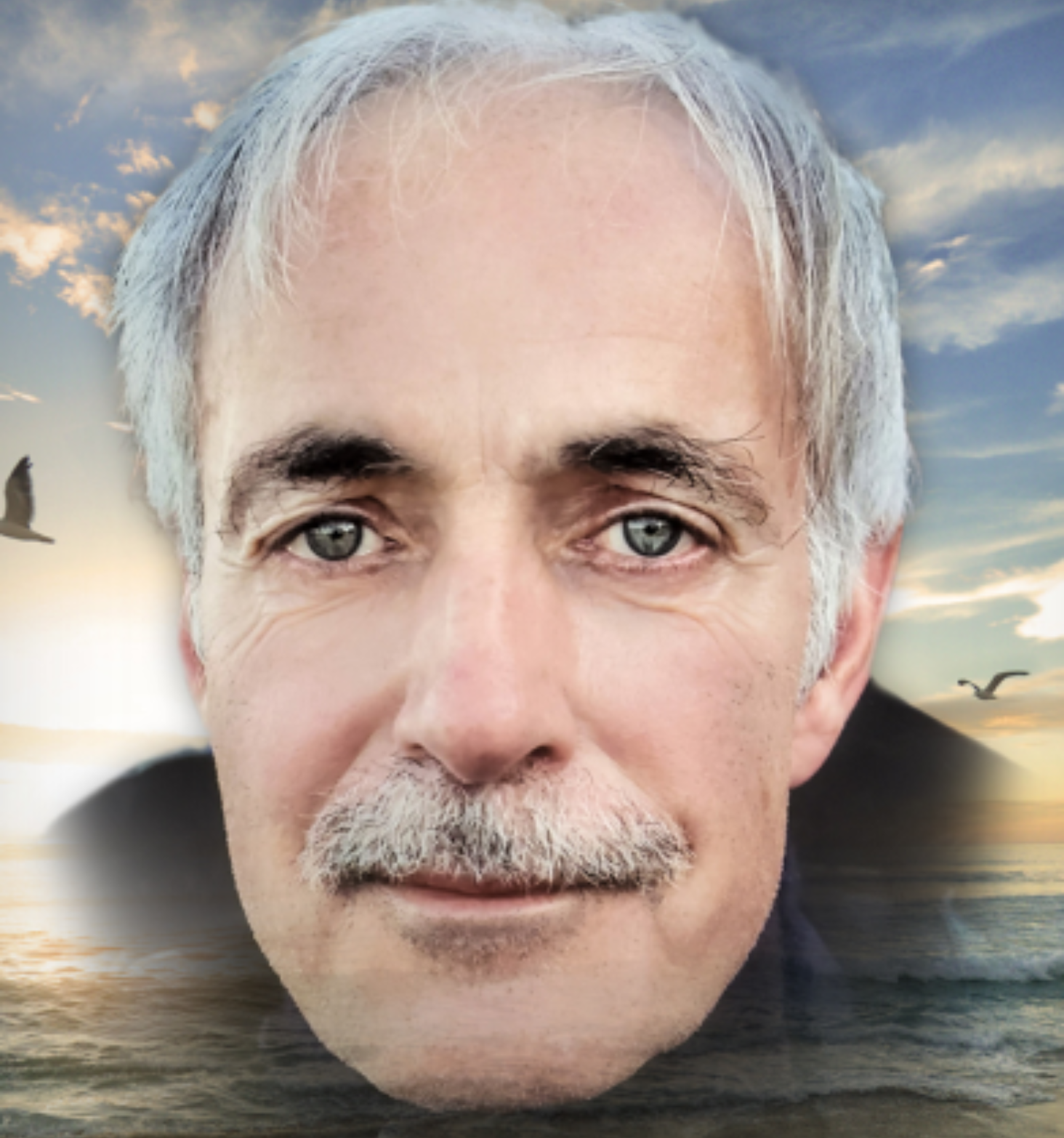 Richard Royer | Journal Le Soir
