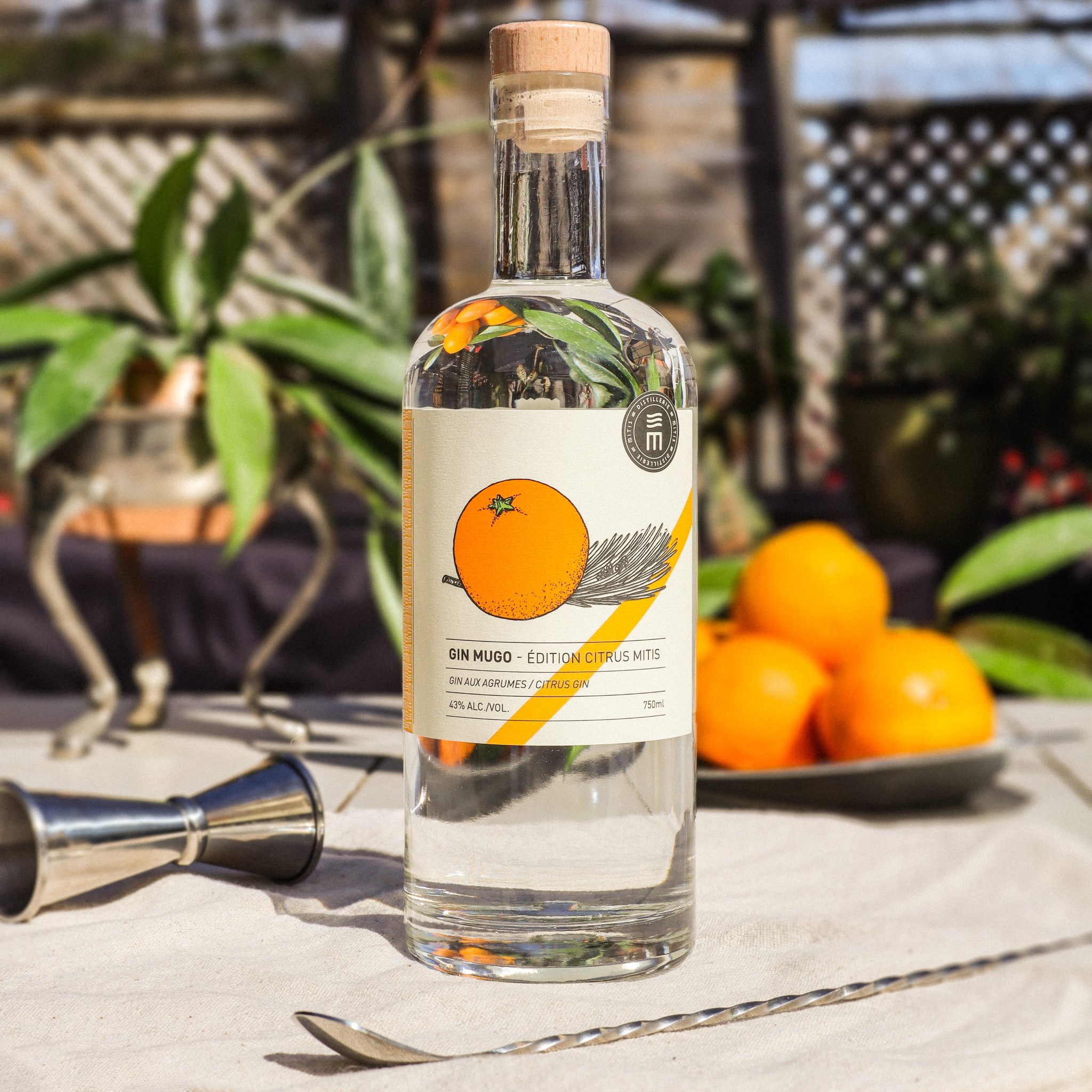 La Distillerie Mitis lance son Gin Mugo Édition Citrus Mitis | Journal Le Soir