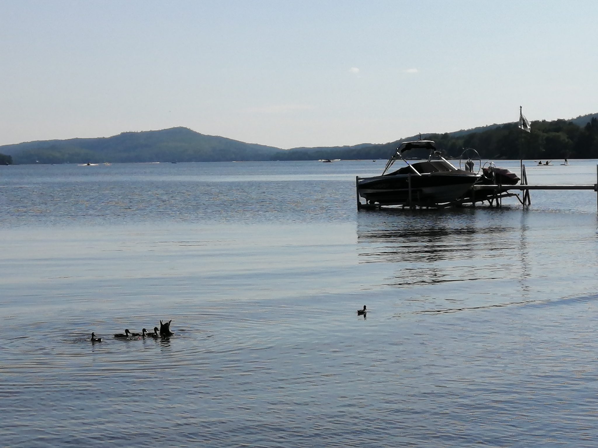 Lacs de Saint-Mathieu : un plan pour améliorer la qualité de l’eau ...