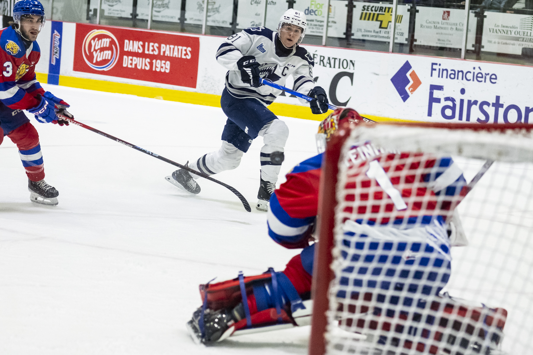 Victoire méritée face aux Wildcats | Journal Le Soir