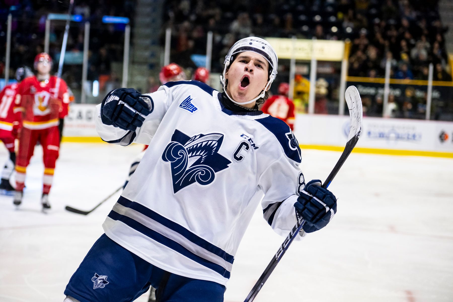 LHJMQ : Jacob Mathieu nommé sur l’Équipe de la semaine | Journal Le Soir