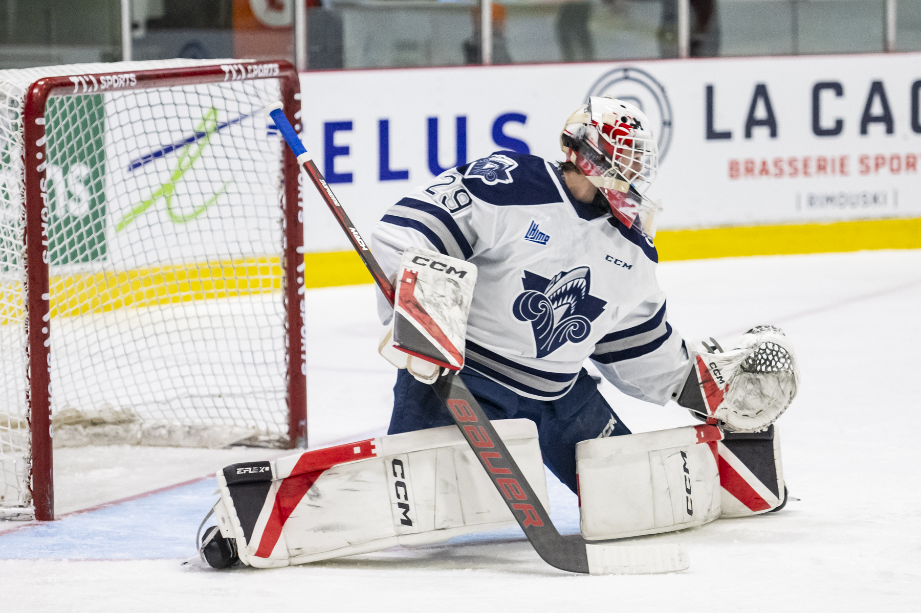 LCH : Quentin Miller parmi les joueurs de la semaine | Journal Le Soir