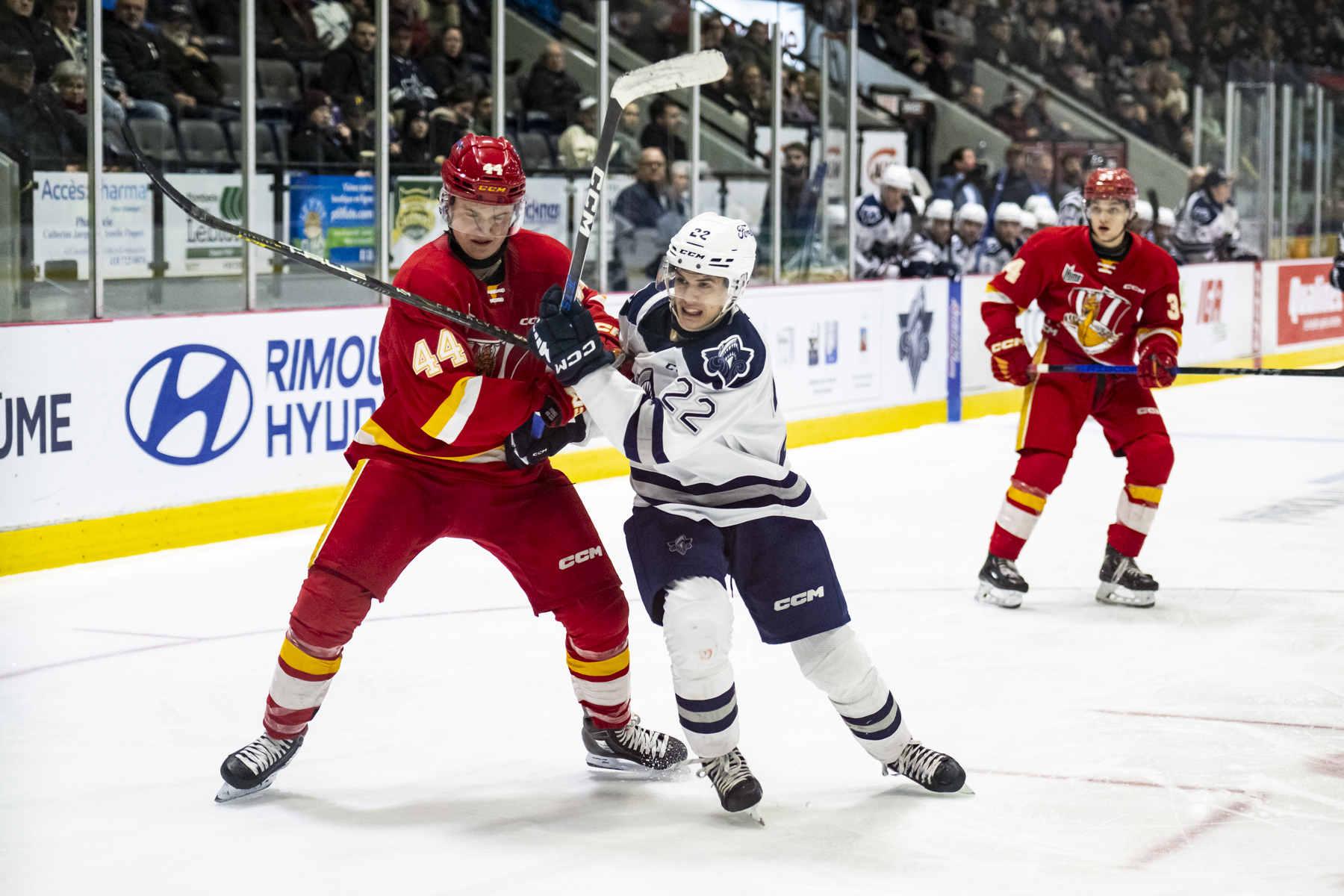 Océanic : remontée victorieuse du Drakkar | Journal Le Soir