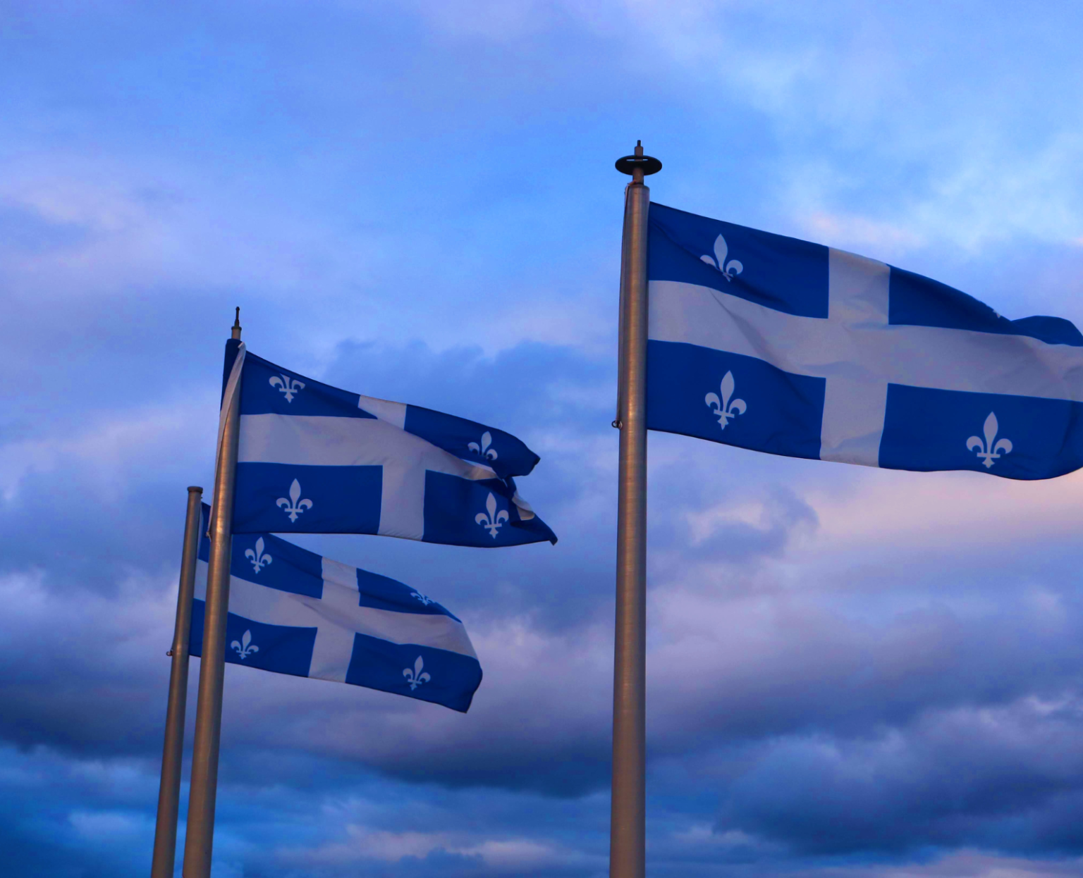 Le Lys : fleur emblématique du Québec | Journal Le Soir