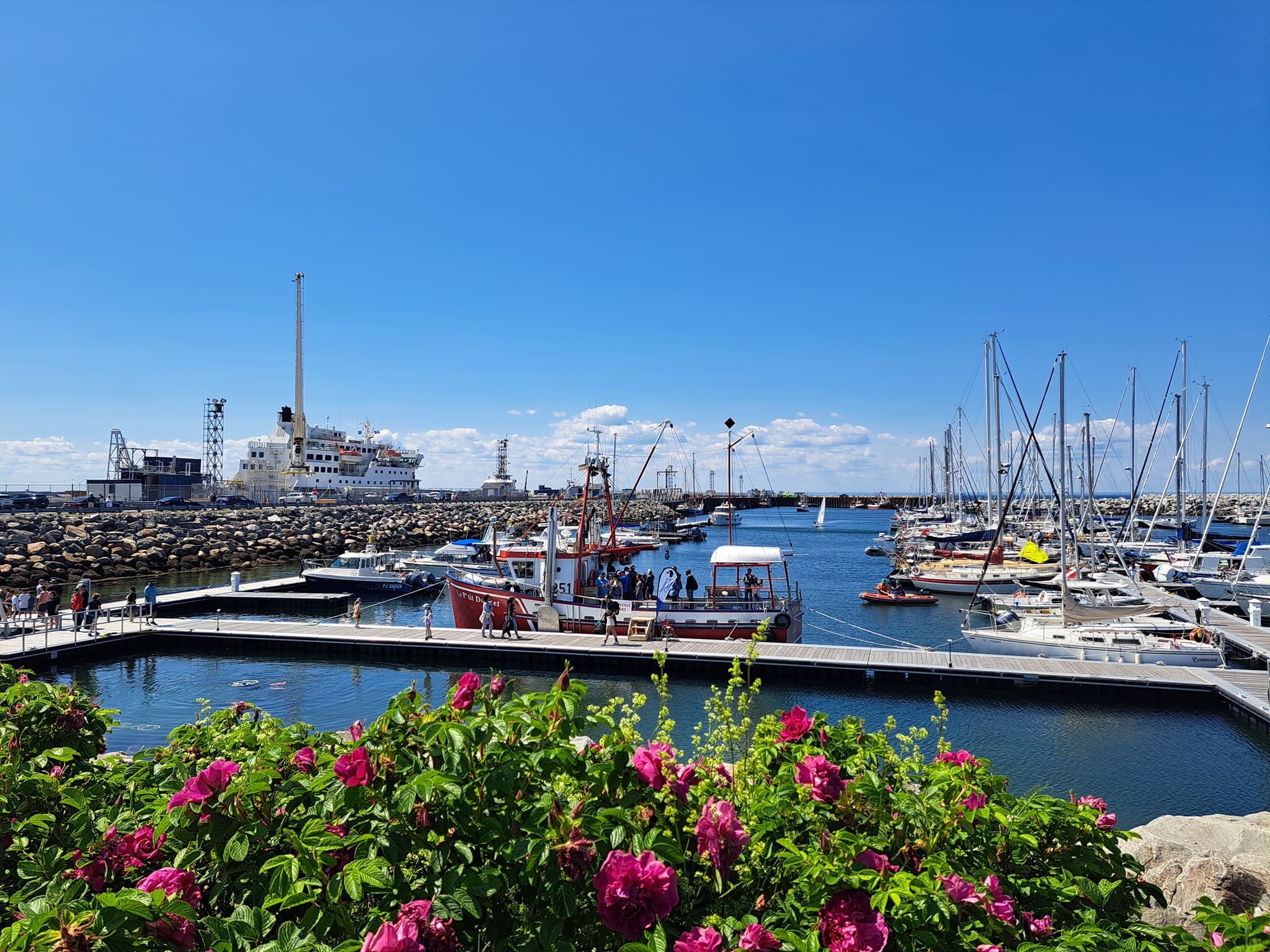 Une Fête de la Mer sur trois jours à Rimouski | Journal Le Soir