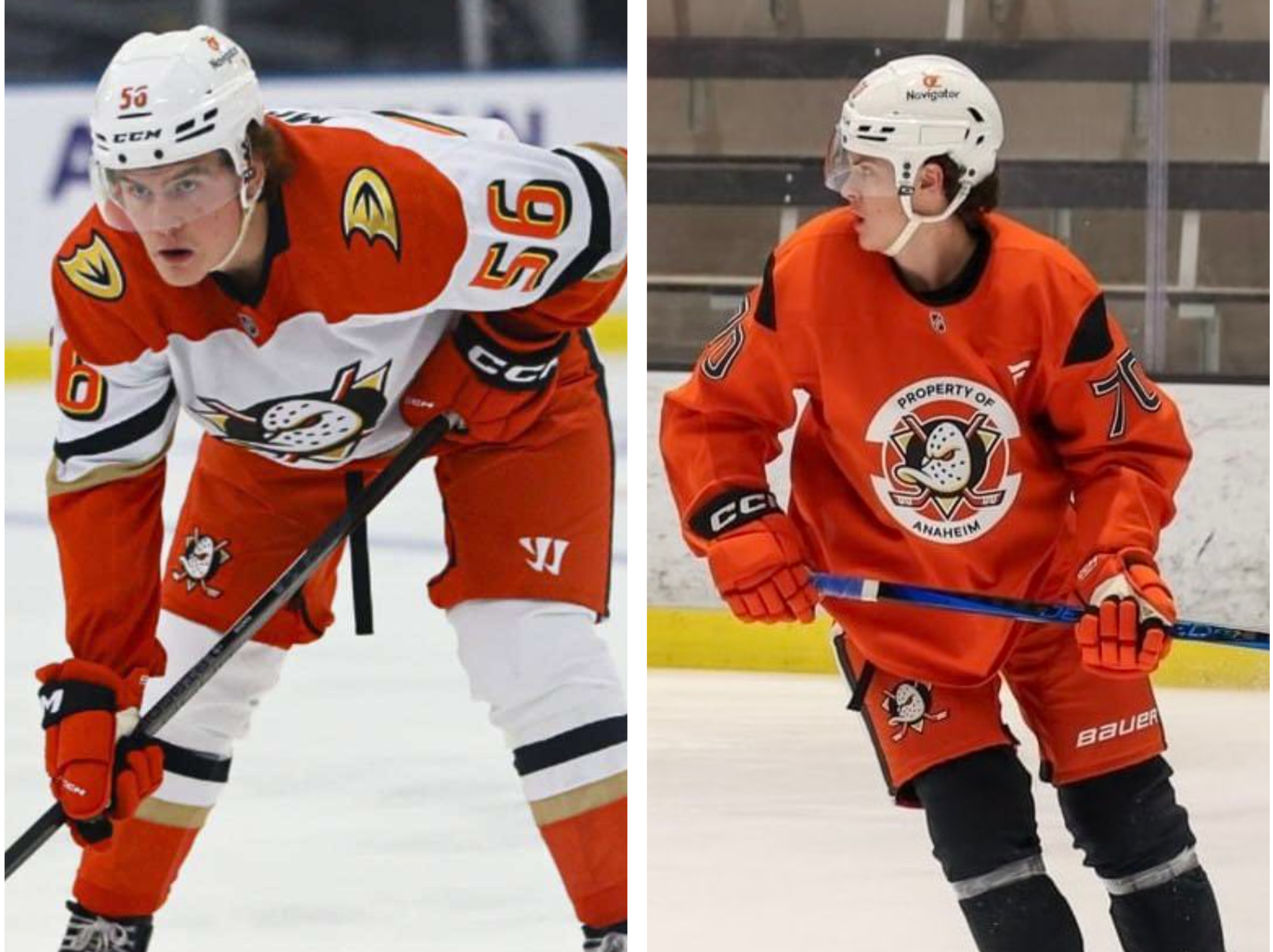 Massé et Blais invités au camp des Ducks | Journal Le Soir