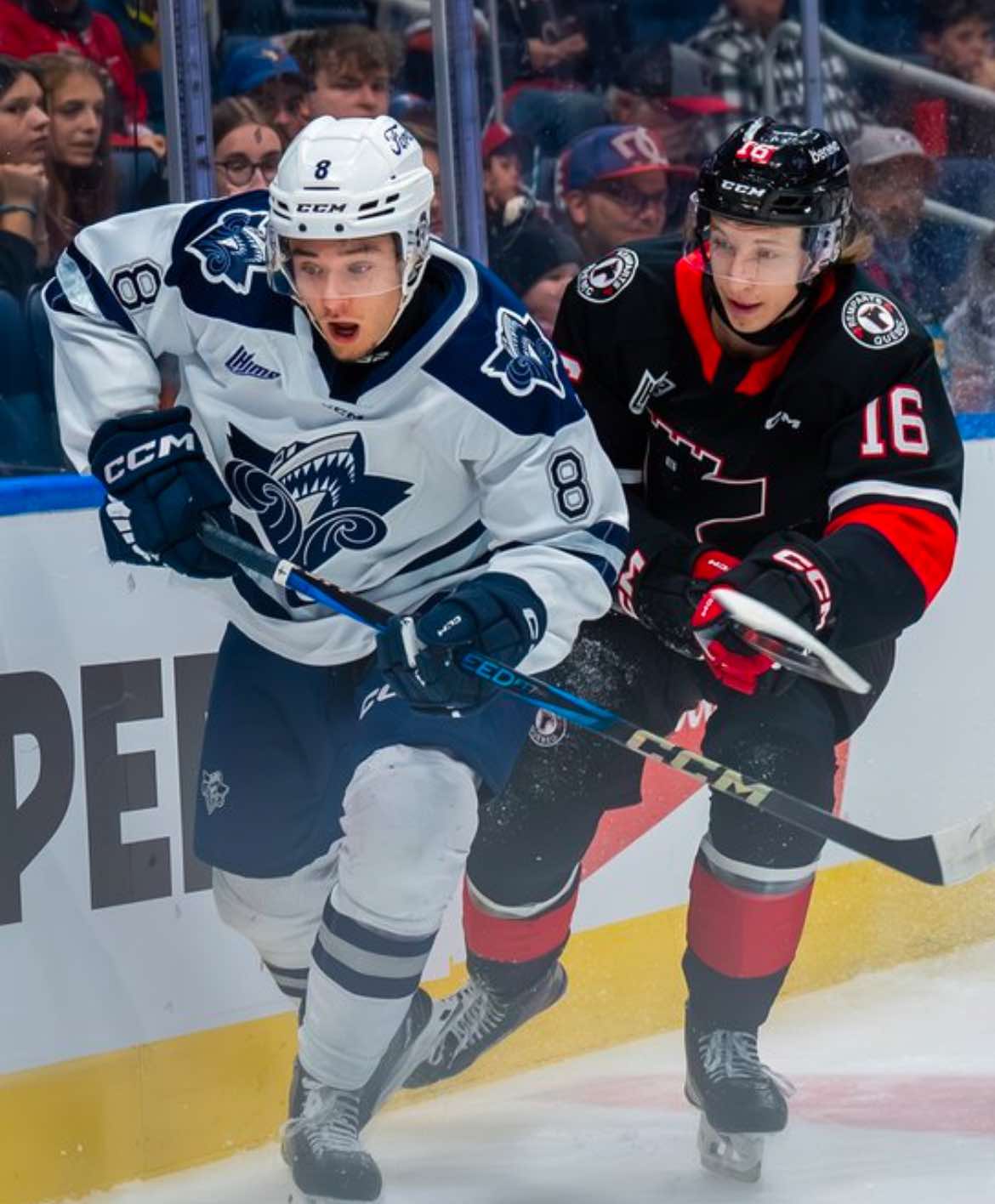 Vincent Murray vs qc | Journal Le Soir
