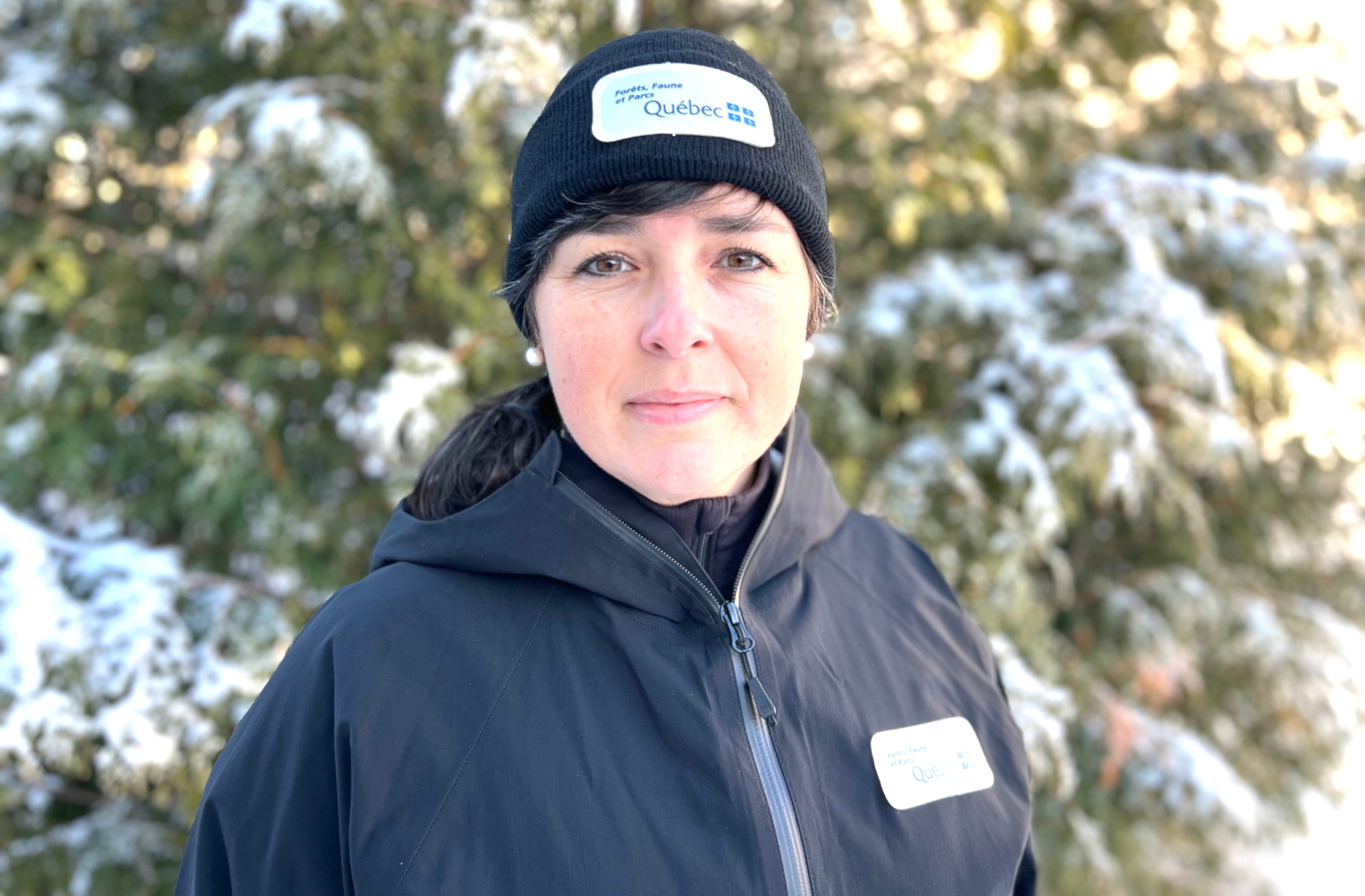 La rage du raton laveur est à 300 mètres du Québec | Journal Le Soir