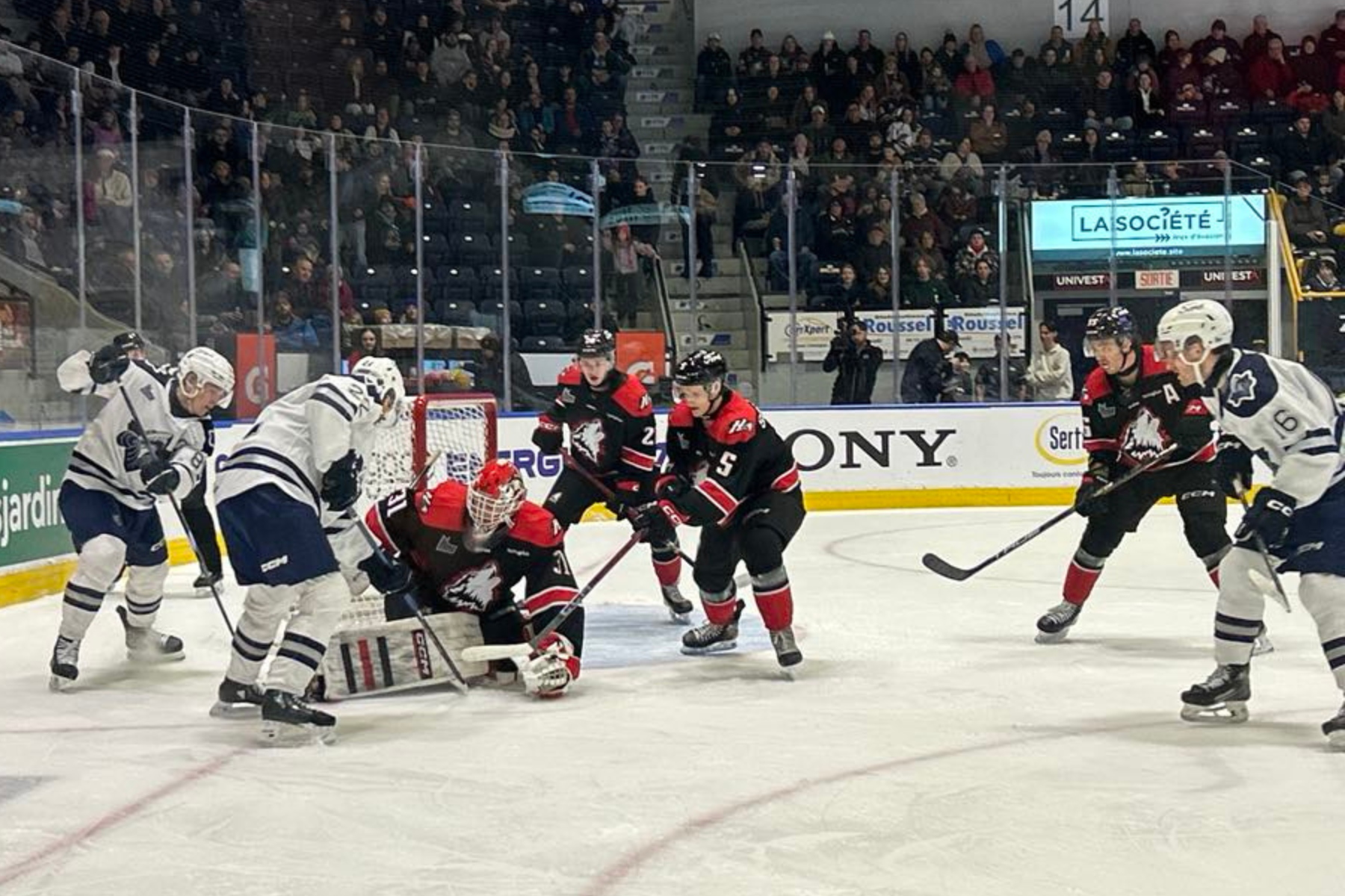 L’Océanic défait face à de coriaces Huskies | Journal Le Soir