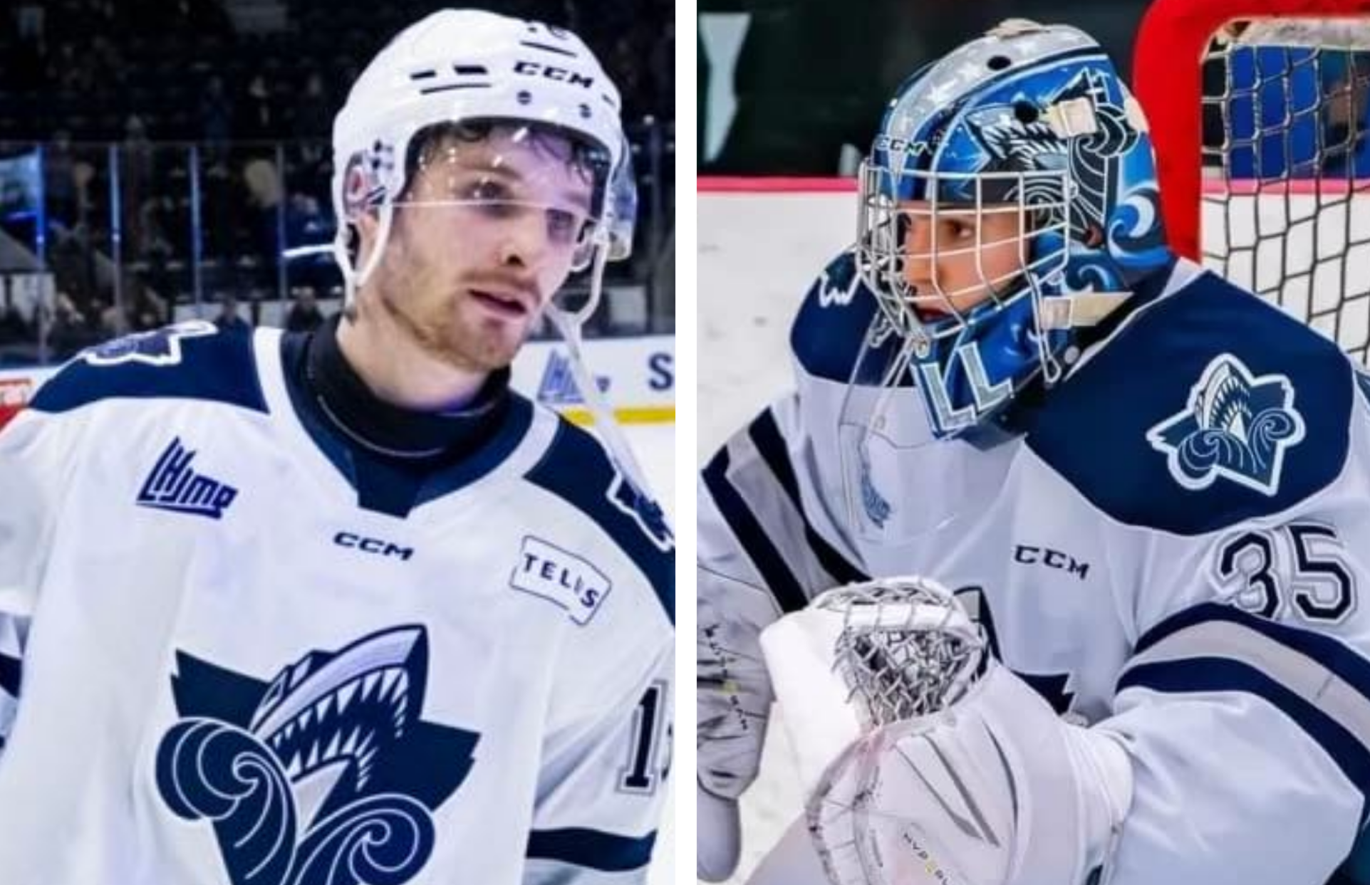 Océanic Finalists: Golden Puck Awards - Americano Sports