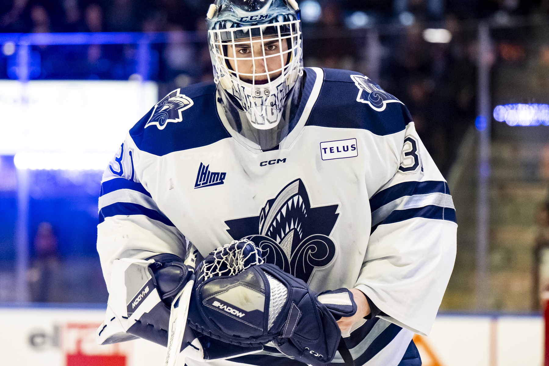 Mathis Langevin de nouveau devant le filet | Journal Le Soir