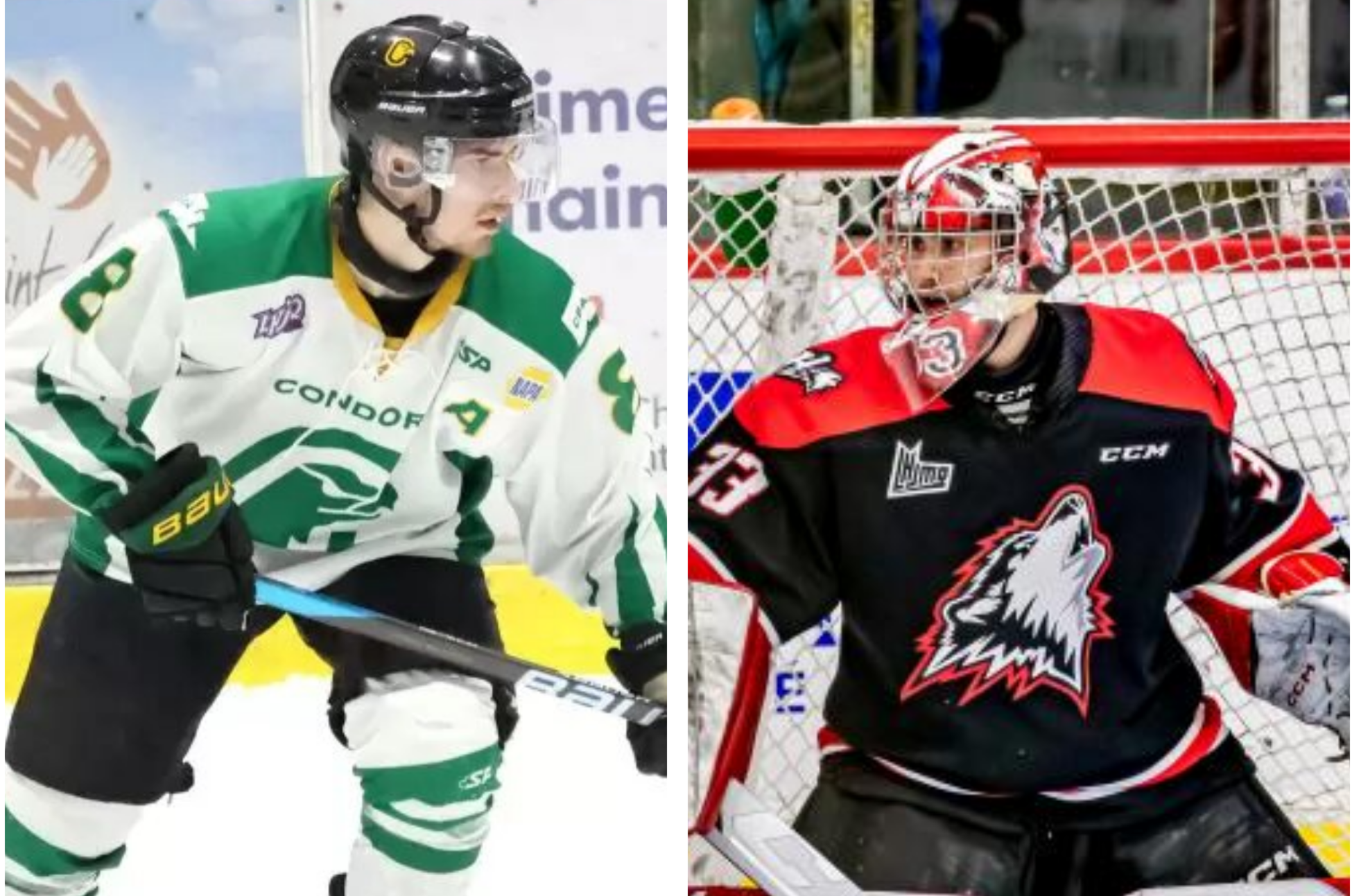 Hockey universitaire : deux Rimouskois s’imposent avec l’UQAC | Journal ...