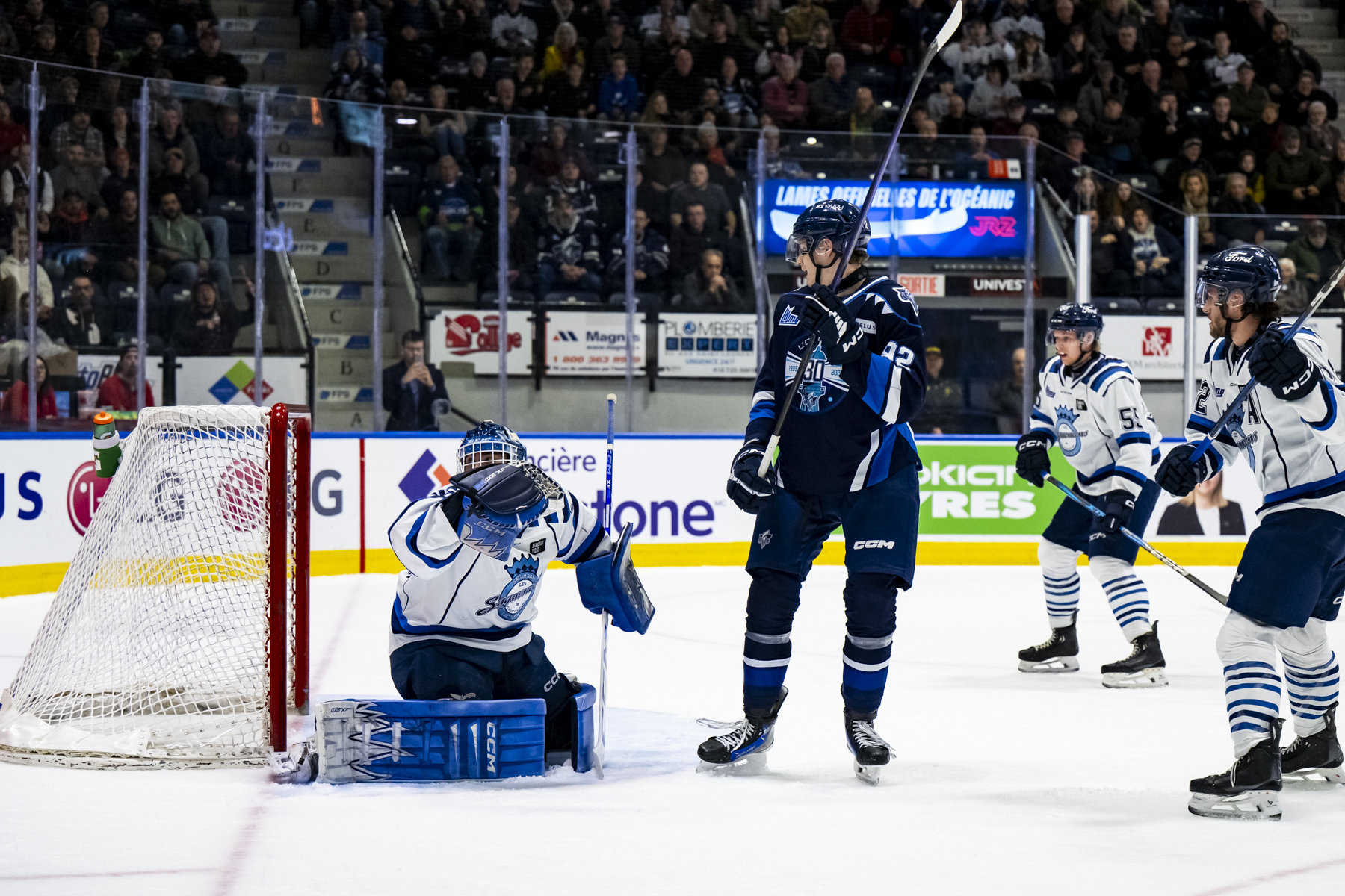 Océanic : des renforts probables pour le match no 5 | Journal Le Soir