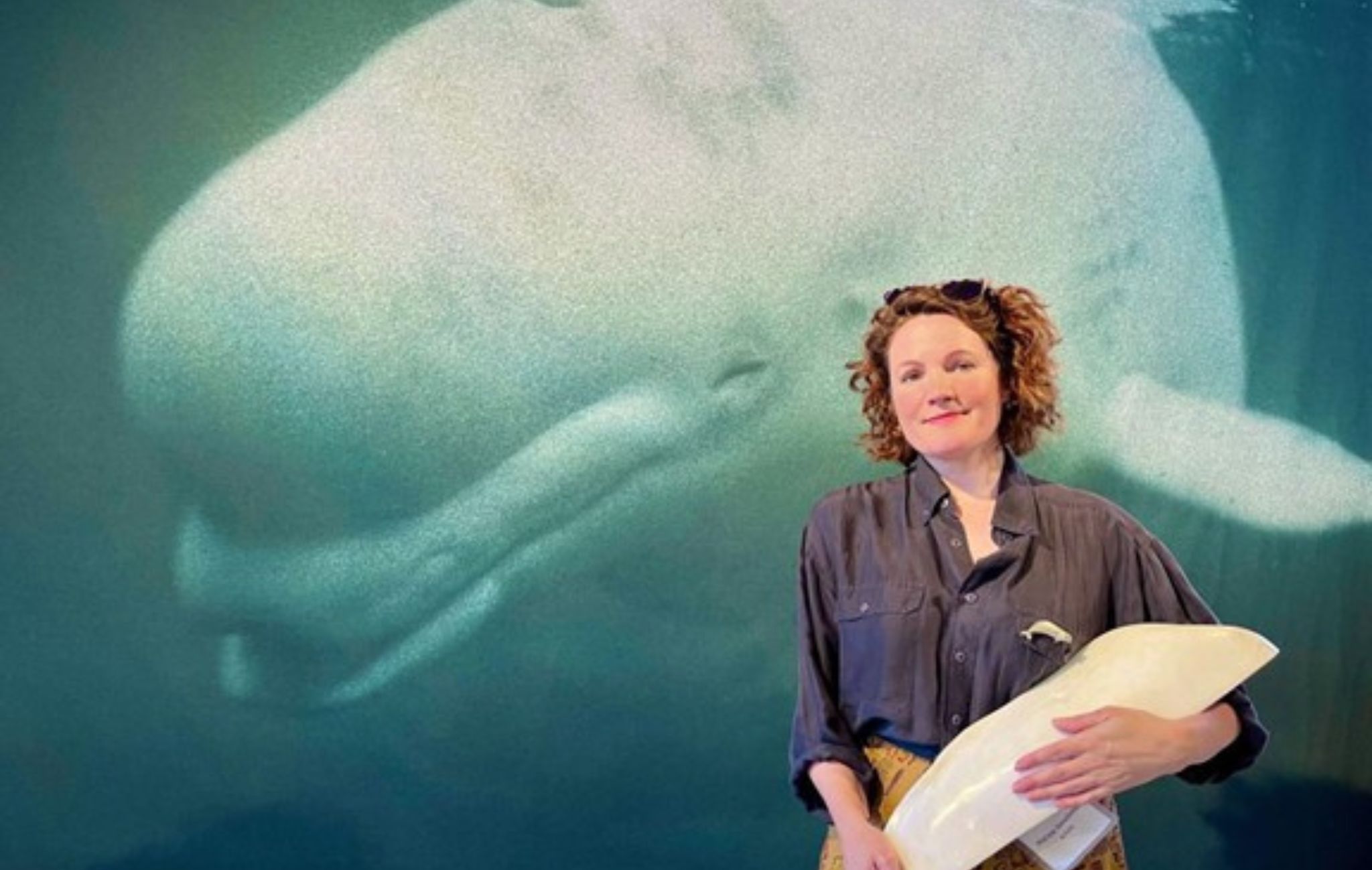 Une exposition immersive de Maryse Goudreau | Journal Le Soir