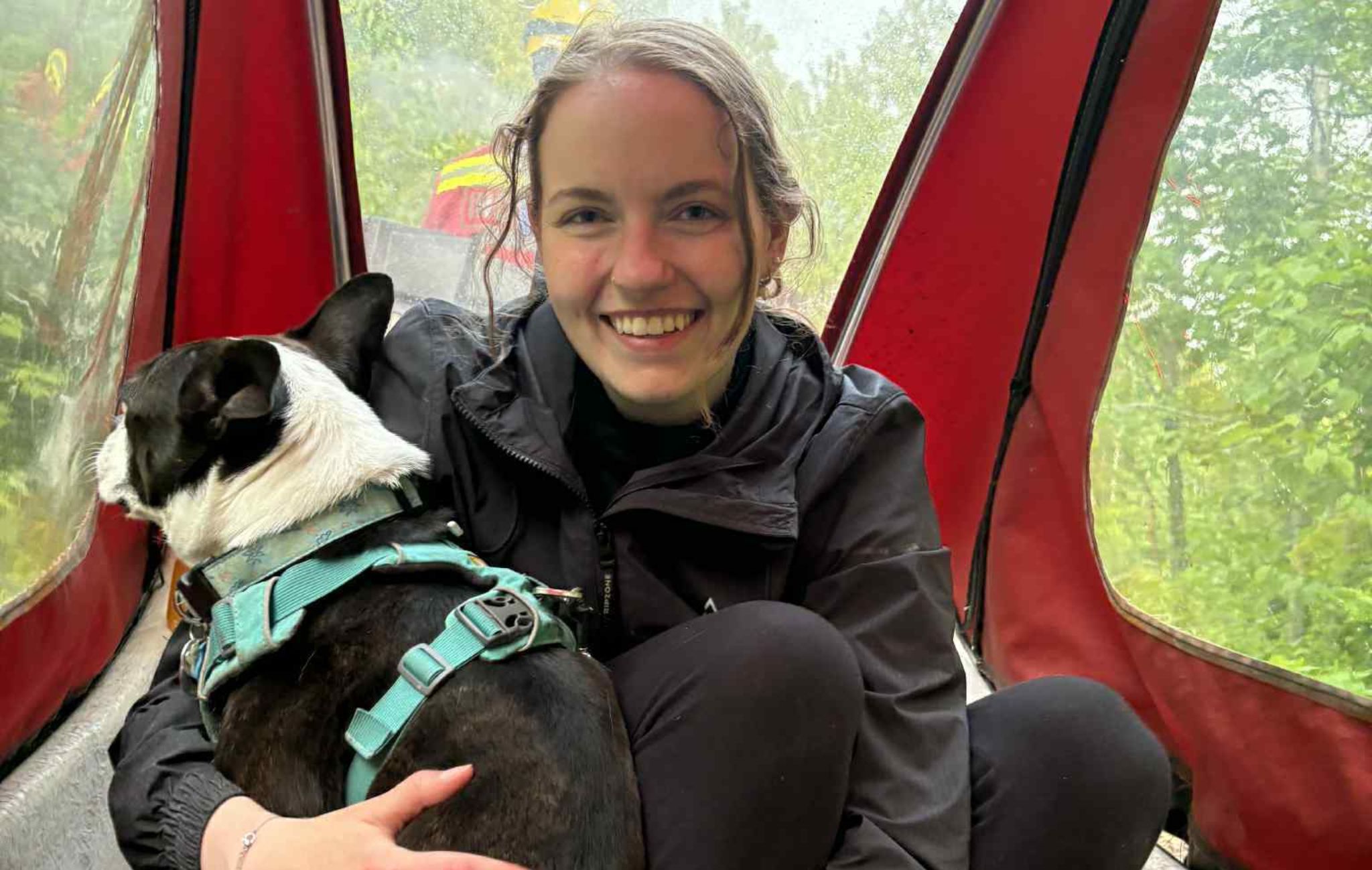 Benji, le chien miraculé de Saint-Anaclet | Journal Le Soir