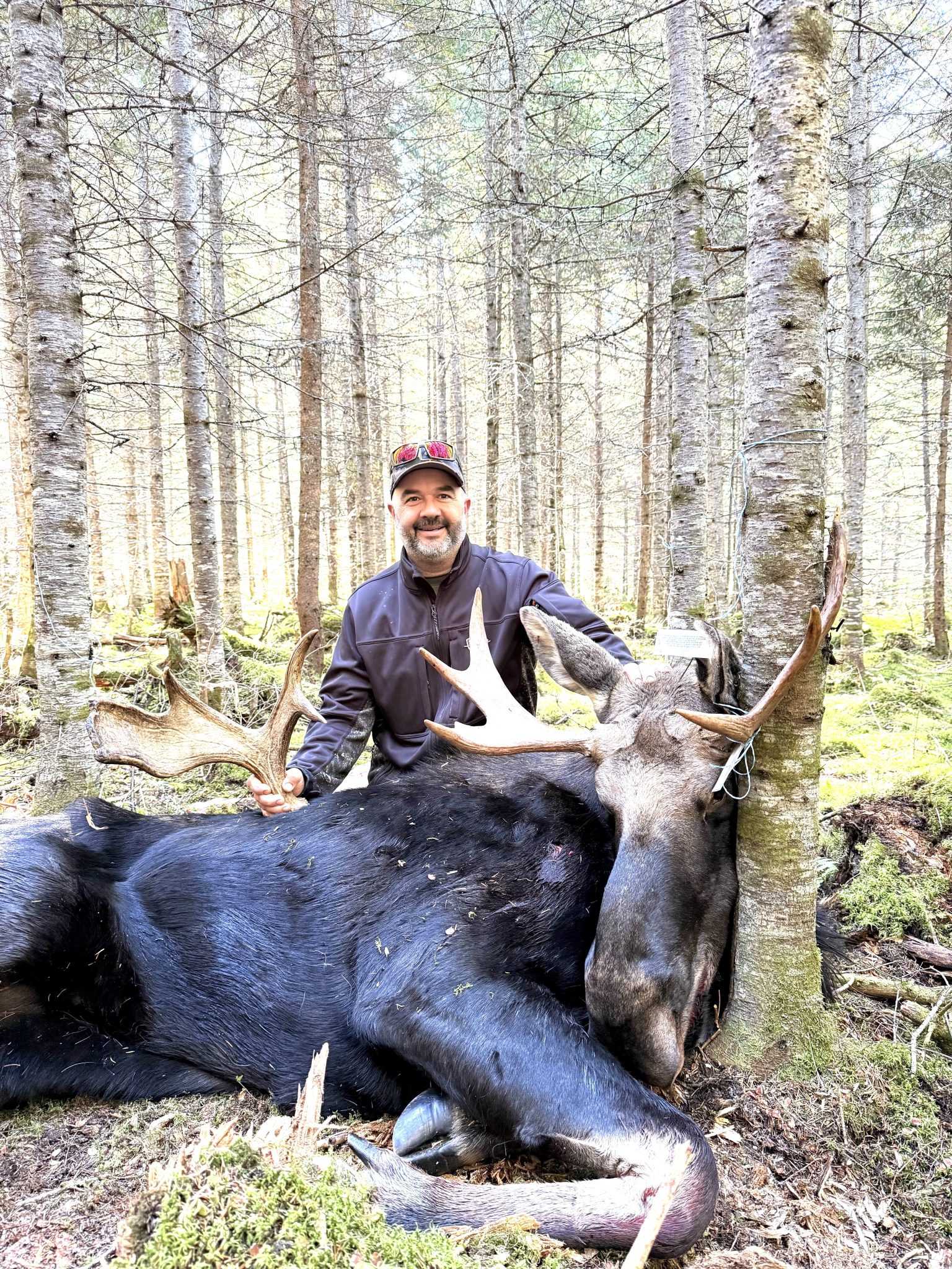 ZEC-BSL : aménager une chambre froide | Journal Le Soir